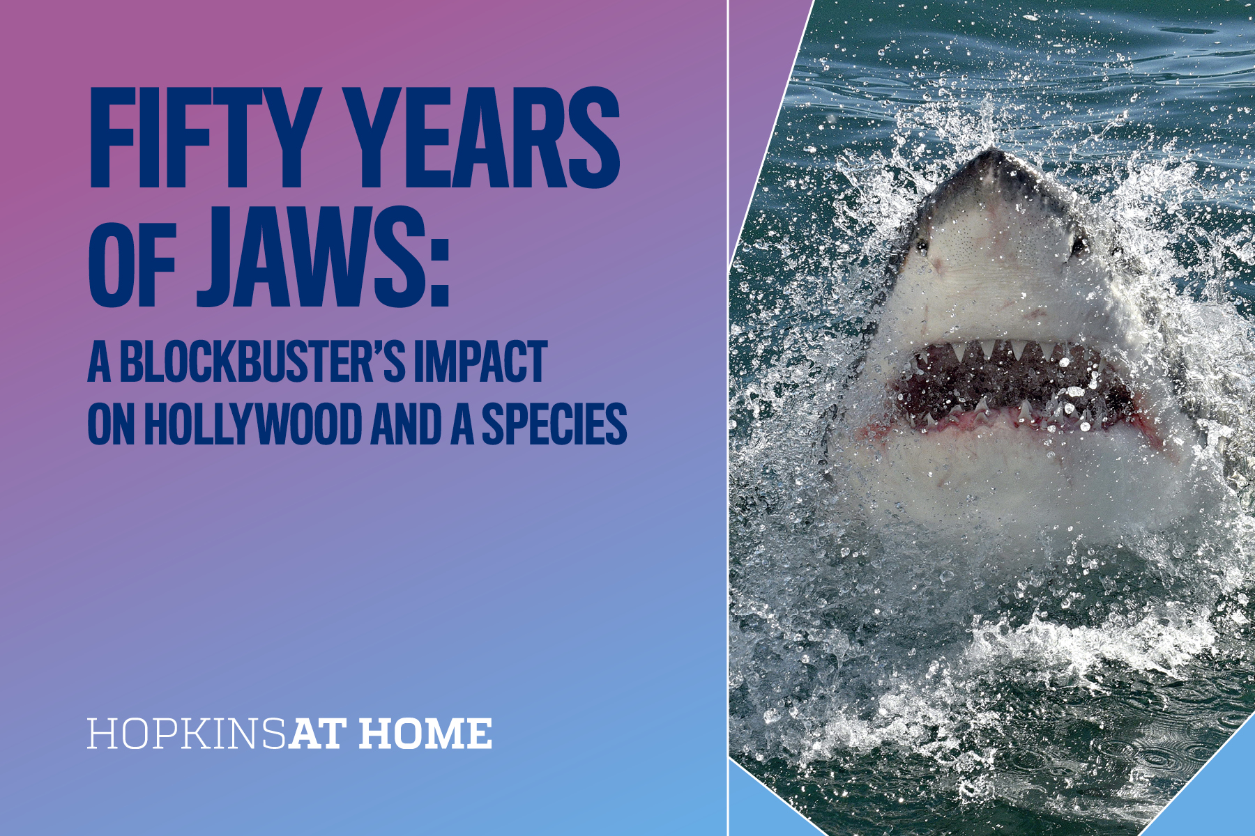 Fifty Years of Jaws: A Blockbuster's Impact on Hollywood and a Species | Johns Hopkins Events